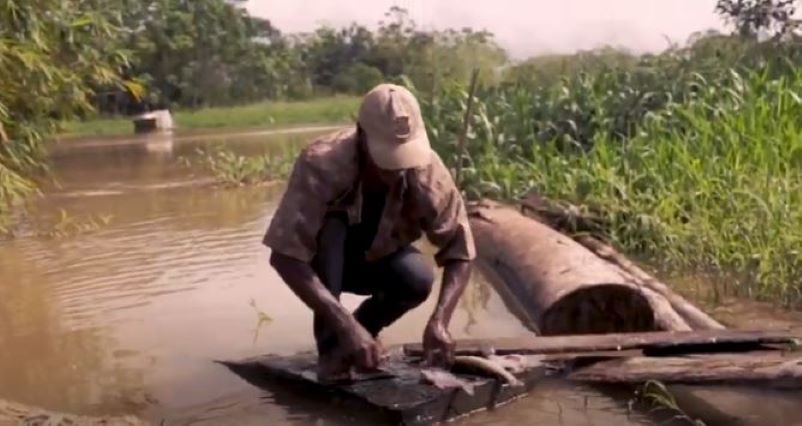 Watch the informative new video, 'The River Guardians', about our class ...